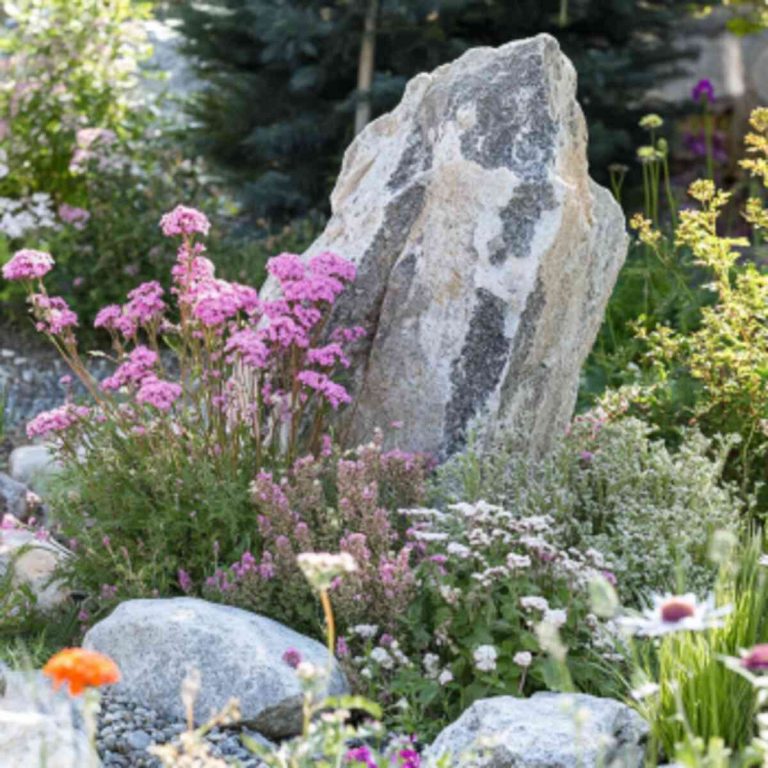 21 Low-Maintenance Alpine Garden Ideas to Beautify Your Garden