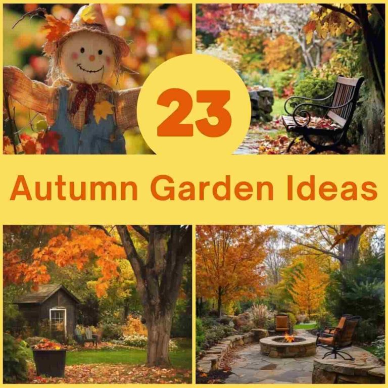 23 Easy Fall Garden Ideas for a Seasonal Makeover