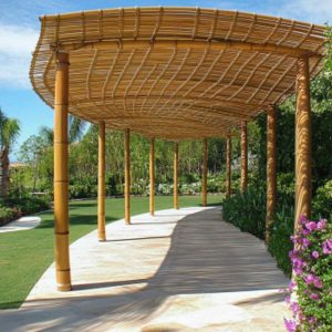 15 Easy and Beautiful Garden Canopy Ideas for Every Backyard