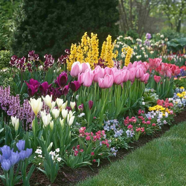 19 Floral Garden Ideas Using Bulbs for a Stunning Yard
