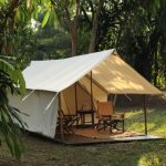 15 Easy and Beautiful Garden Canopy Ideas for Every Backyard