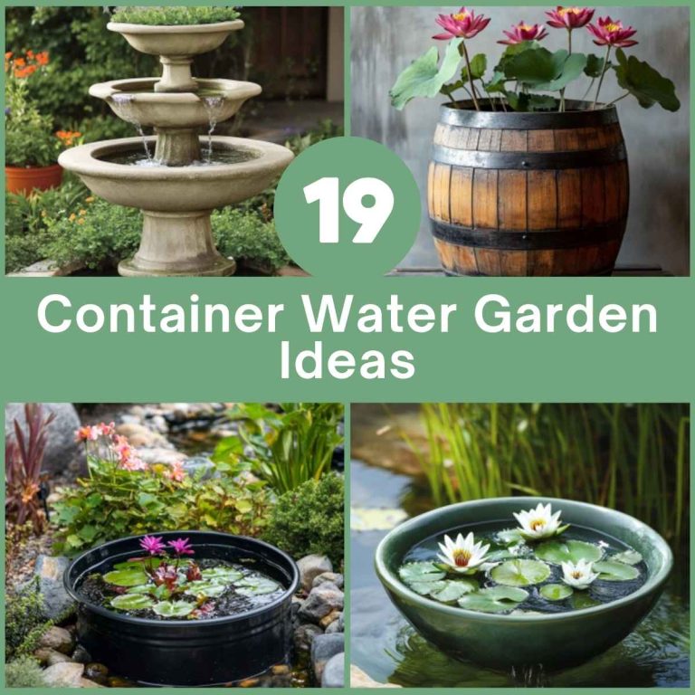 19 Simple Container Water Garden Ideas for Every Space