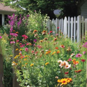 20 Best Bee Garden Ideas for a Thriving Backyard