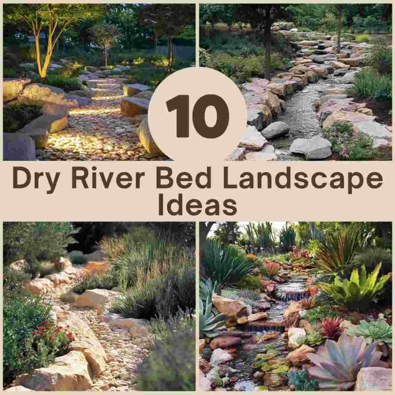10 Easy & Stylish Dry River Bed Landscaping Ideas You’ll Love
