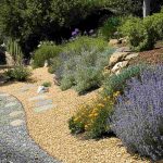 15 Fire-Resistant Landscaping Ideas for a Safer, Beautiful Yard