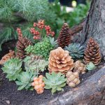 11 Best Pine Cone Garden Ideas to Try This Year
