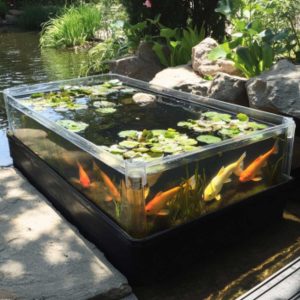 19 Simple Container Water Garden Ideas for Every Space