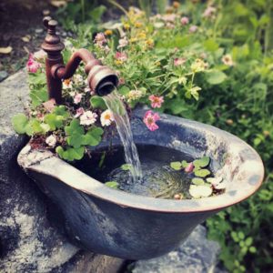 19 Simple Container Water Garden Ideas for Every Space