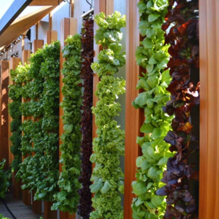 20 Sustainable Permaculture Garden Ideas You Can Try Today