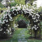 11 All White Flower Garden Ideas You’ll Fall in Love With