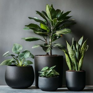 17 Black Plant Garden Ideas Are Pure Magic