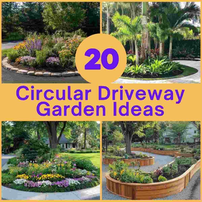 20 Circular Driveway Garden Ideas That’ll Make Your Entrance Pop