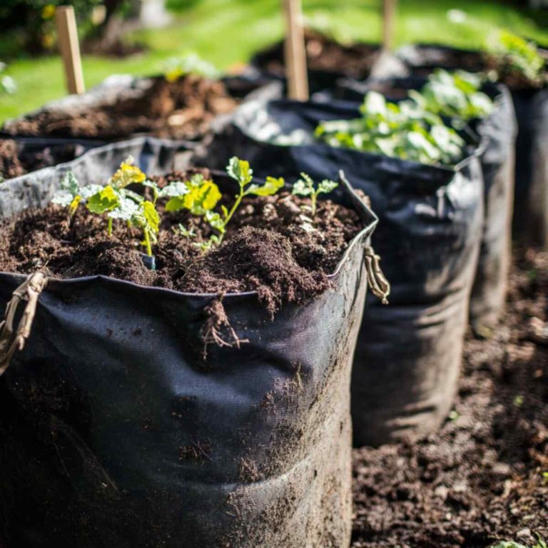 18 Organic Composting Area Ideas to Turn Waste Into Garden Gold!