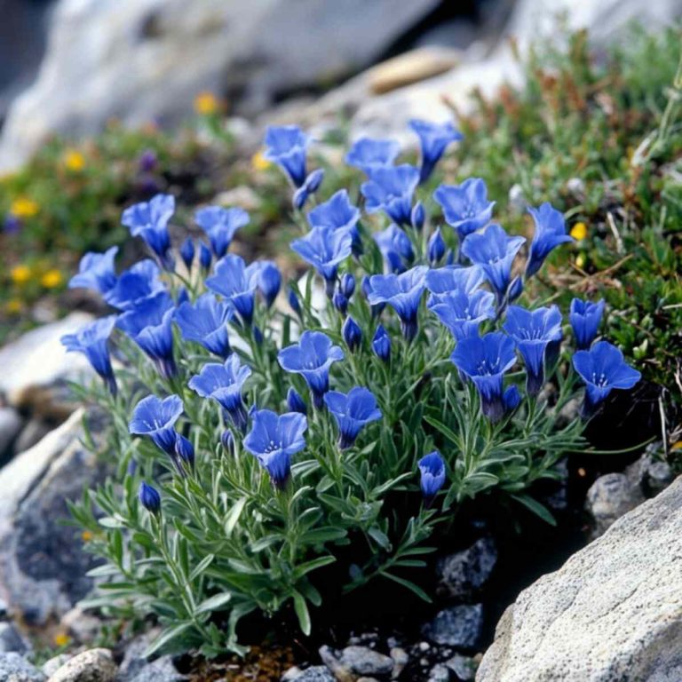 21 Blue Flowers Garden Ideas To Make Your Garden Look Like a Dream