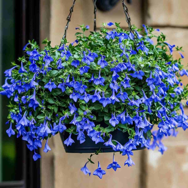 21 Blue Flowers Garden Ideas To Make Your Garden Look Like a Dream
