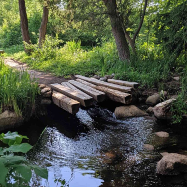 18 Creative Stumpery Garden Ideas That Will Wow Your Guests