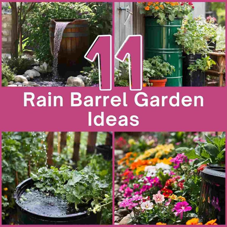 11 Gorgeous Rain Barrel Garden Ideas for a Sustainable Backyard