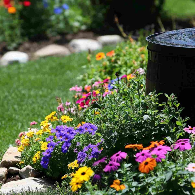 11 Gorgeous Rain Barrel Garden Ideas for a Sustainable Backyard