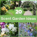 20 Scent Garden Ideas That’ll Make Your Backyard Smell Like Heaven