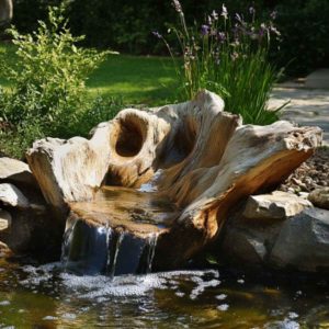 18 Creative Stumpery Garden Ideas That Will Wow Your Guests