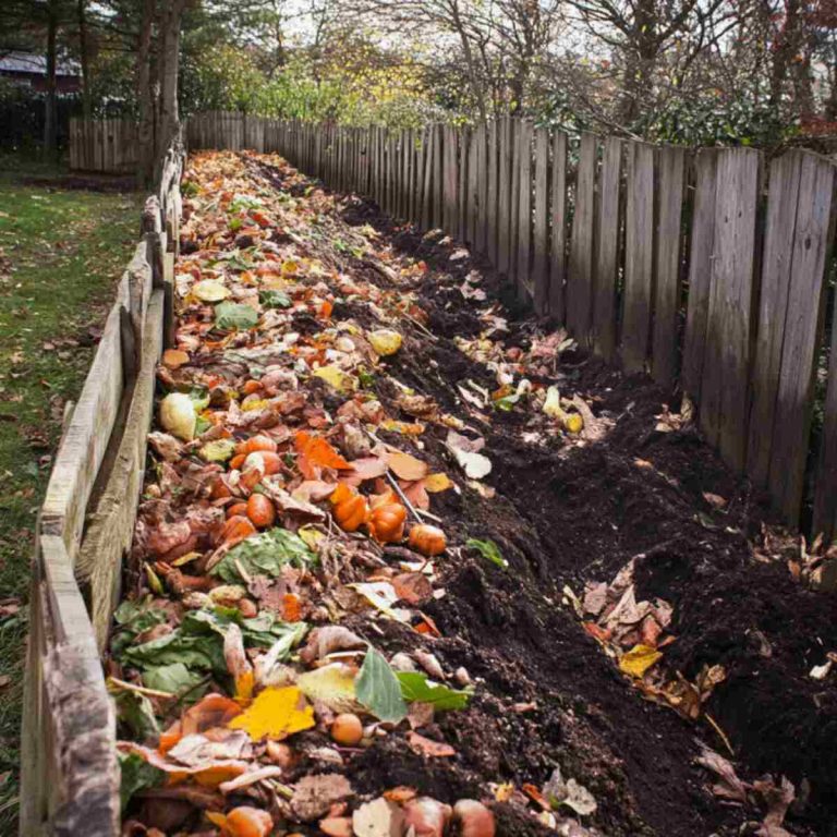 18 Organic Composting Area Ideas to Turn Waste Into Garden Gold!