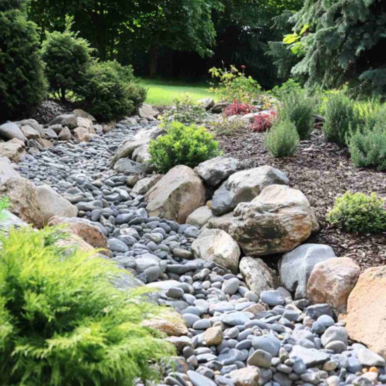 18 Clever Drought-Proof Garden Beds That Keep Growing Strong