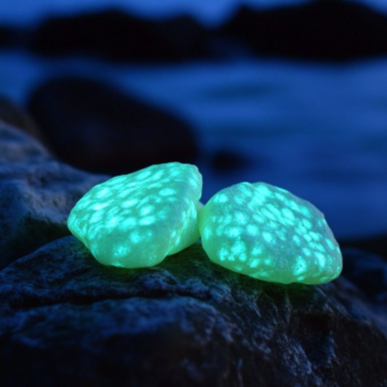 17 Beautiful and Easy Painted Rocks Garden Ideas