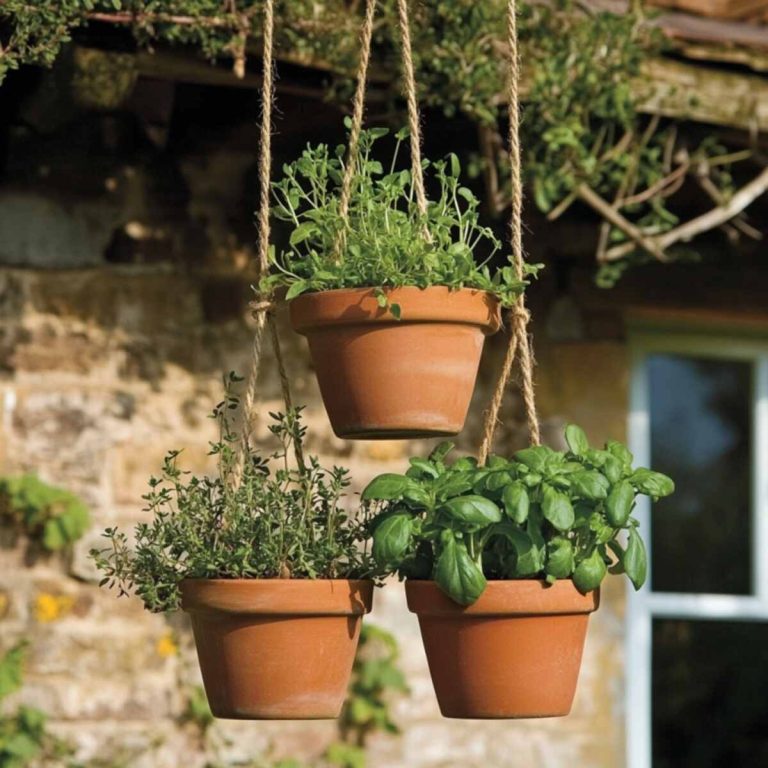 18 Hanging Herb Garden Ideas That Are Too Cool Not to Try