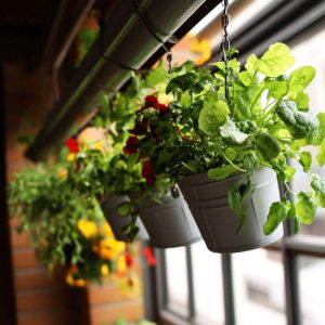 17 DIY Hanging Gutter Garden Ideas That Make Gardening Fun & Easy