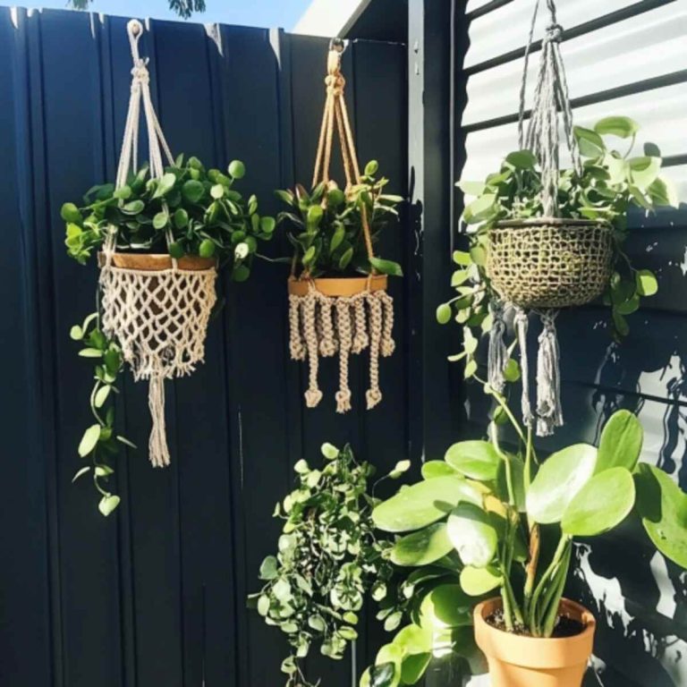 19 Best Hanging Garden Ideas to Transform Your Fence
