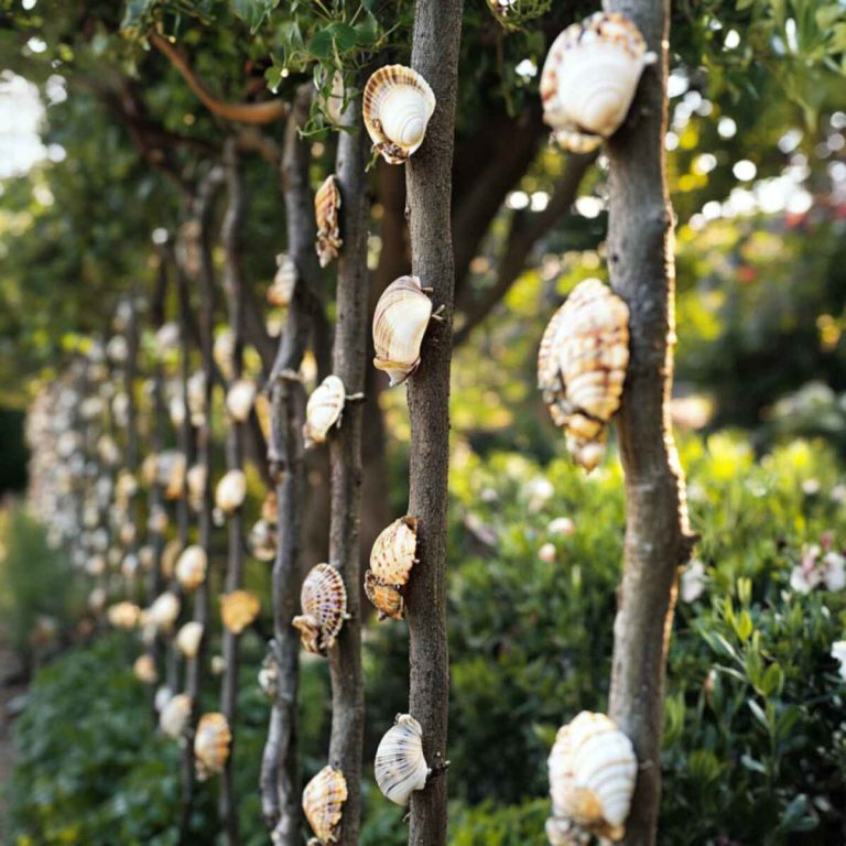 19 Garden Ideas Using Seashells That Add Coastal Charm to Your Yard