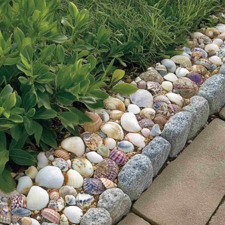 19 Garden Ideas Using Seashells That Add Coastal Charm to Your Yard