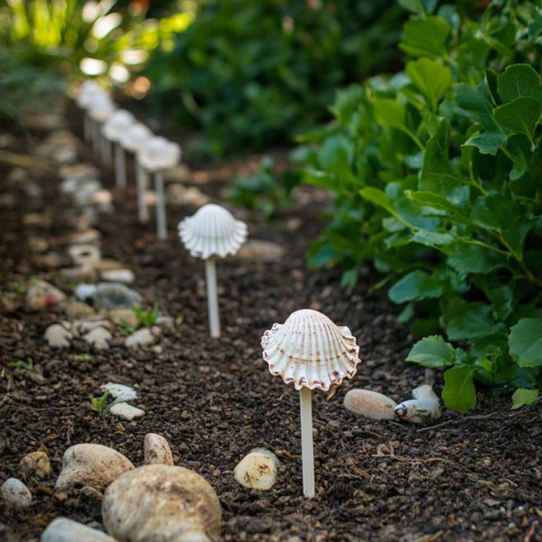 19 Garden Ideas Using Seashells That Add Coastal Charm to Your Yard