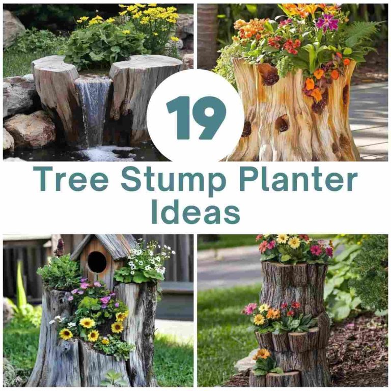 19 Best Tree Stump Planter Ideas You Need to Try This Season
