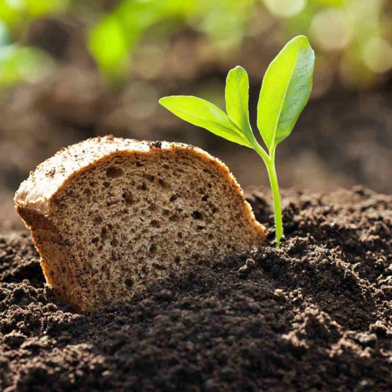 17 Genius DIY Soil Testing Ideas Every Gardener Should Know