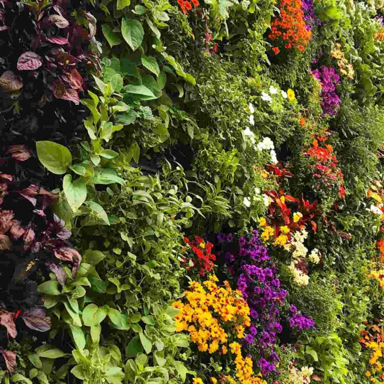 21 Creative Seed Bomb Garden Ideas That Anyone Can Try