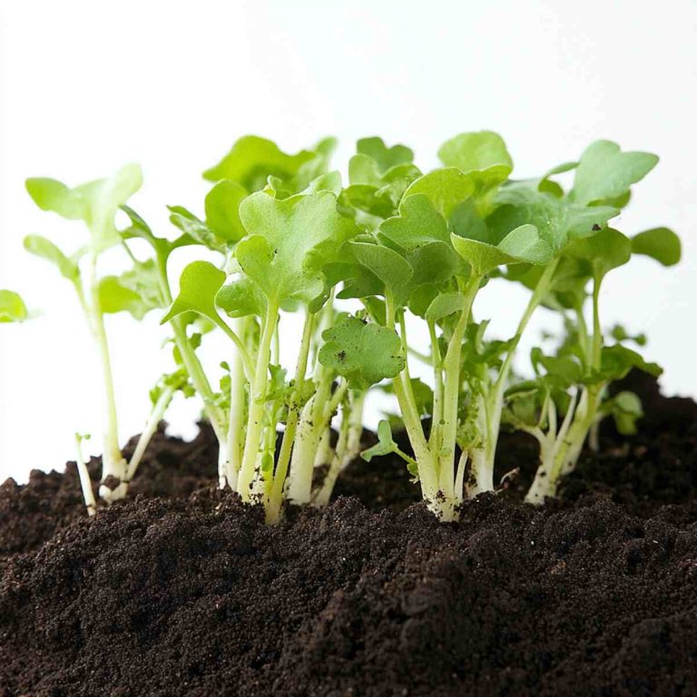 17 Genius DIY Soil Testing Ideas Every Gardener Should Know