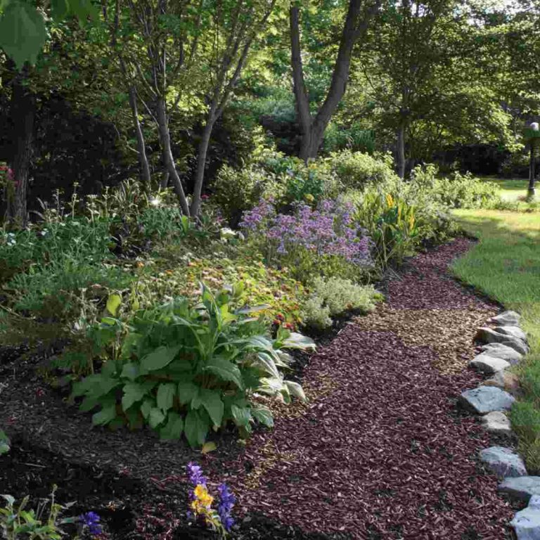 25 Smart Garden Ideas for Windy Areas That Actually Work