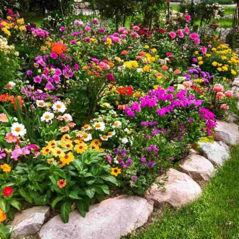 21 Creative Seed Bomb Garden Ideas That Anyone Can Try