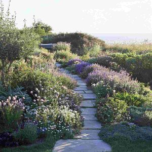 25 Smart Garden Ideas for Windy Areas That Actually Work