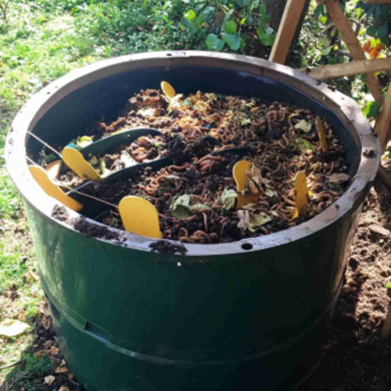 20 Easy DIY Garden Ideas for Composting with Worms