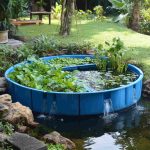 15 Brilliant Aquaponic Garden Ideas for Every Space!