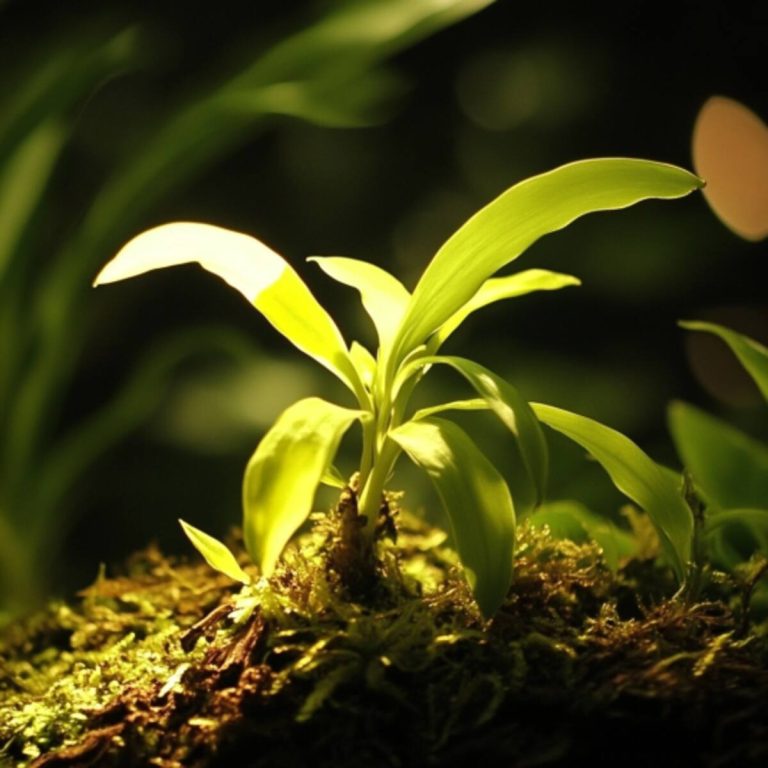 18 Fun Garden Ideas for Kids' Science Projects