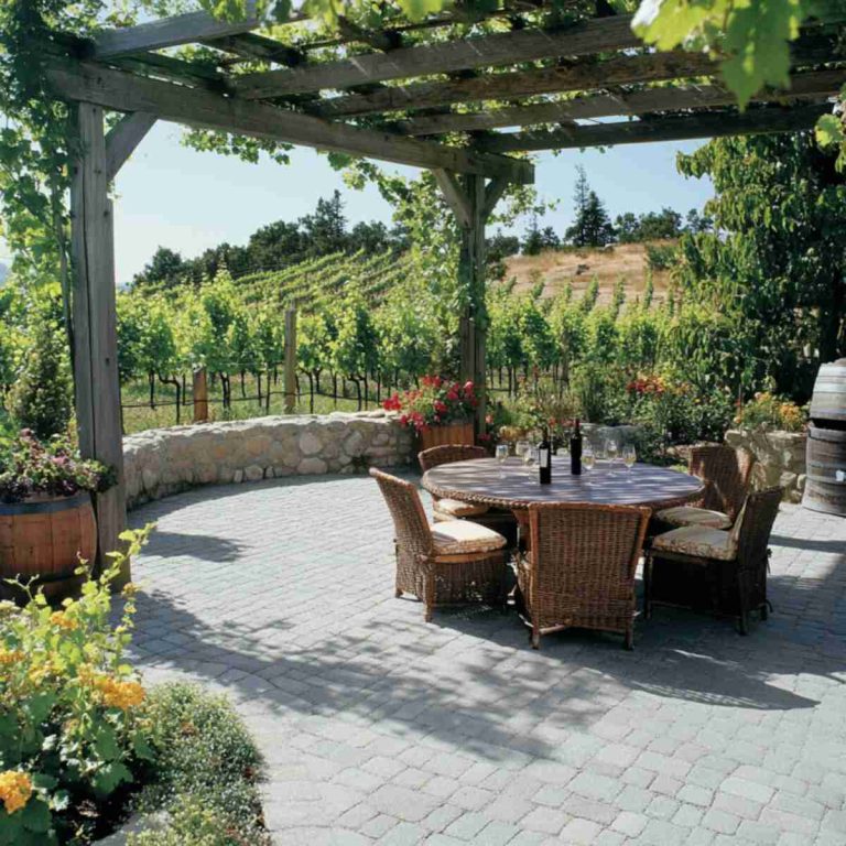 20 Easy Vineyard Garden Ideas for a Relaxing Escape