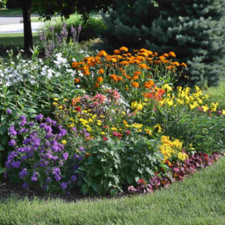 21 Smart Garden Ideas to Rotate Your Plants Each Season