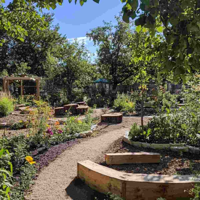 15 Community Garden Plot Ideas That Go Beyond Vegetables