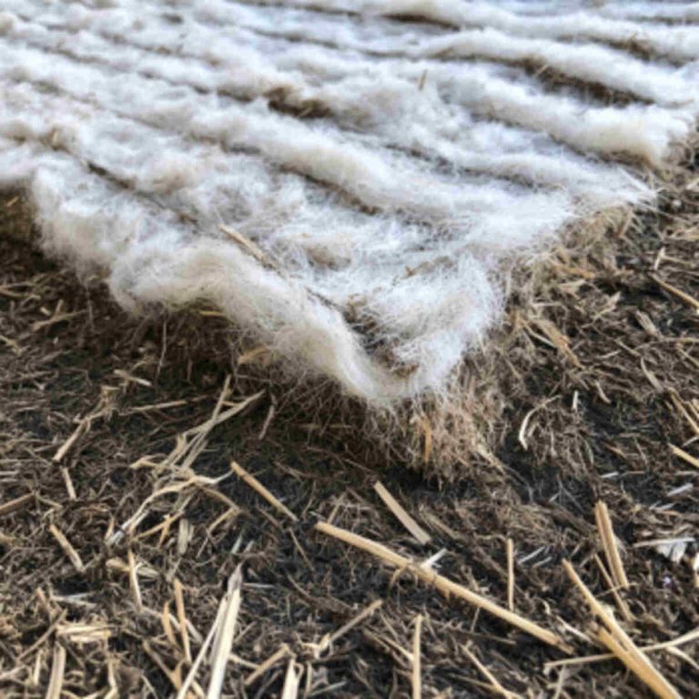 20 Natural Ways to Stop Weeds Without Chemicals