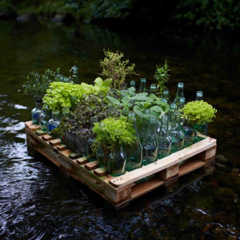 19 Genius DIY Hydroponic Bottle Garden Ideas You Can Try Today