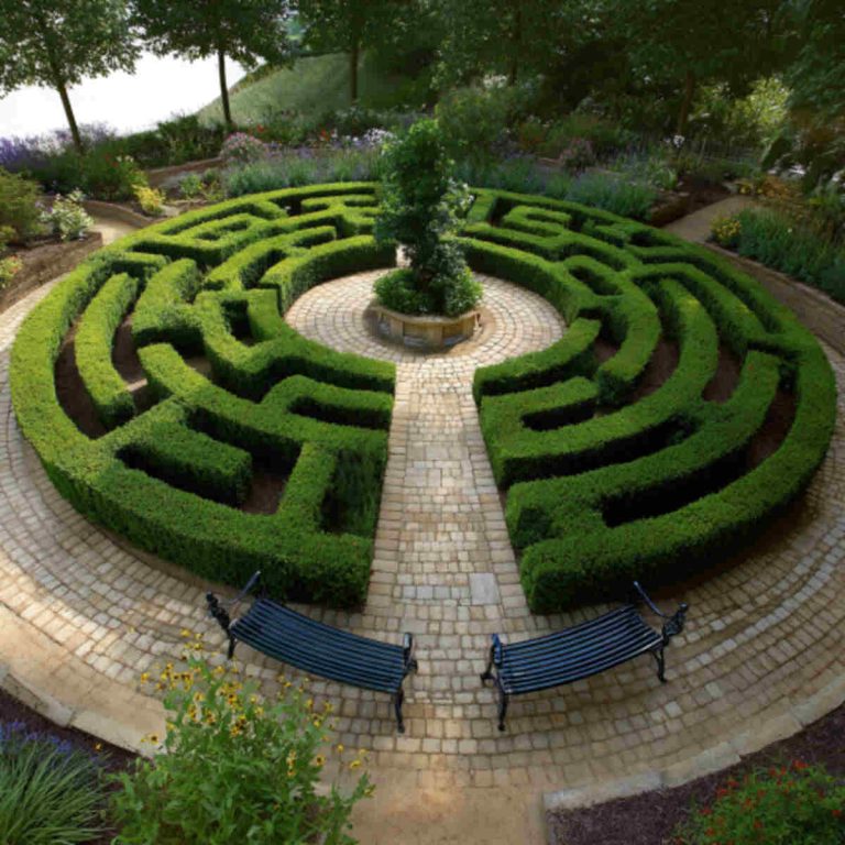 10 Creative Garden Ideas for Mini Corn Mazes You Can Try Today