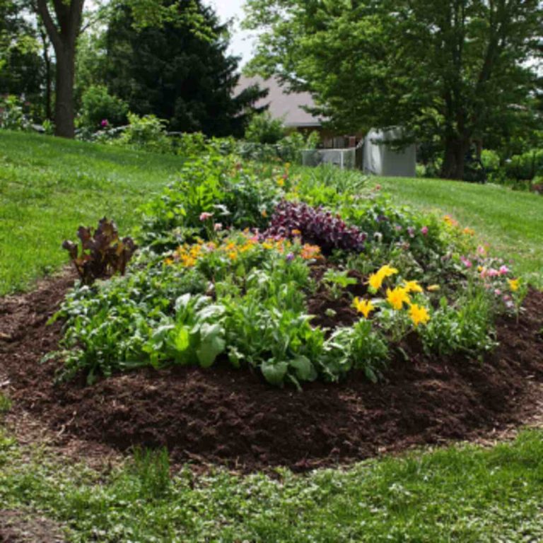 21 No-Till Growing Garden Ideas That Actually Work